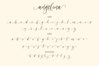 angelina - modern calligraphy font (498341) | Script | Font Bundles