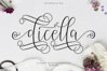 Dicella Script (36916) | Calligraphy | Font Bundles