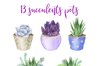 Watercolor Succulents Pots Clipart (249872) | Illustrations | Design ...