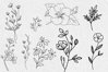 72 Botanical Doodles (193380) | Illustrations | Design Bundles