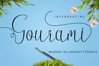 Gourami (8903) | Calligraphy | Font Bundles