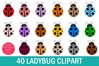 40 Lady Bug Clipart- Cute Lady Bug Clipart-Ladybug Graphics (140875 ...