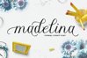 Madelina Script (1272) | Calligraphy | Font Bundles