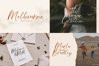 Modern Script Font BUNDLE (1109237) | Handwritten | Font Bundles
