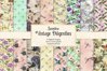 Vintage Dragonfly Digital Paper (586576) | Patterns | Design Bundles