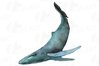 Watercolor humpback whale clip art pack, colorful whales (216874 ...
