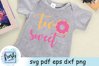 Two Sweet Svg Shirt Donut Svg Second Birthday Svg Two Svg (532550 ...