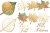 Autumn & Fall Leaves Clipart Set (117207) | Illustrations | Design Bundles