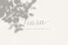 Tiara / modern calligraphy script (311281) | Regular | Font Bundles