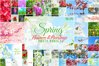 Spring Flowers and Paintings Bundle (53431) | Nature | Design Bundles