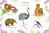 Animals Australia Watercolor (347866) | Illustrations | Design Bundles