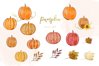 Pumpkin Clipart, Digital Pumpkin clip art, Autumn Clipart (129812 ...