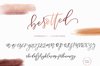Besotted Modern Calligraphy Script (46578) | Script | Font Bundles