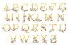 Gold flower alphabet (226409) | Illustrations | Design Bundles