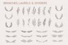 Hand drawn Delicate Floral Bundle (941035) | Illustrations | Design Bundles
