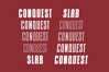 CONQUEST Sans & Slab Serif (240469) | Regular | Font Bundles