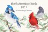 Birds of North America watercolor clipart (294254) | Illustrations ...