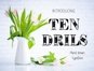 Tendrils font (14489) | Logo | Font Bundles
