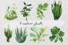Watercolor Indoor Plants Clip Art Set (92785) | Illustrations | Design ...