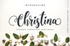 Christina (999083) | Calligraphy | Font Bundles