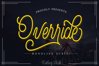 Override (561155) | Monoline | Font Bundles