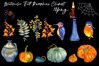 Autumn Halloween Pumpkins Clipart Set (853254) | Illustrations | Design ...