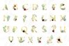 Floral golden alphabet clip art, floral alphabet print (180710 ...