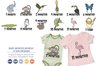Baby Months Bundle | Jungle Animals | Baby Milestones
