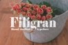 Filigran font (15756) | Other | Font Bundles