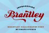Brantley Script (416599) | Display | Font Bundles