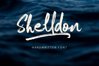 Shelldon Font (130102) | Brush | Font Bundles
