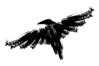 Black raven. Ink crow illustration. (250283) | Illustrations | Design ...