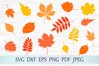 Fall Leaf SVG, Autumn Leaves SVG file, Fall svg, Maple Leaf (379484 ...