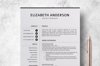 Resume Template | CV Cover Letter - Elizabeth Anderson (188153 ...
