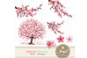 Cherry Blossoms Digital Papers and Sakura Clipart (248814) | Patterns ...
