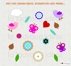 Flowers, mandalas and monogram frames creator pack. (24545 ...