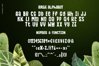 Zaba Zoo - Jungle Font with Text effect (801918) | Display | Font Bundles
