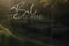 Boho Signature Handwritten Font Trio (539231) | Duo and Trios | Font ...