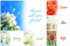 Spring Flowers and Paintings Bundle (53431) | Nature | Design Bundles