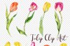 Watercolor Tulips Clipart (1195019) | Illustrations | Design Bundles