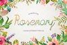 Rosemary (1452) | Script | Font Bundles