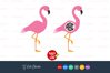 Flamingo Svg, Pink Flamingo Svg , Files for Silhouette Cameo or Cricut ...