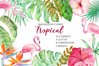 Tropical Watercolor Clipart Set (242969) | Illustrations | Design Bundles