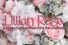 Lillian Rose (80663) | Regular | Font Bundles