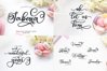 The MINI COLLECTION Bundle (190707) | Calligraphy | Font Bundles