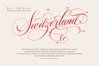 Switzerland Elegant Stylish Calligraphy Script (263187) | Script | Font ...
