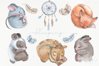 Cute sleeping baby animals watercolor clipart kit (153439 ...
