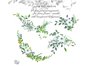 Hand Painted Watercolor Greenery Clipart (71262) | Illustrations ...