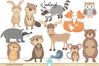 Woodland Forest Animals Clipart (129304) | Characters | Design Bundles