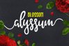 Alyssum Blossom (34740) | Script | Font Bundles